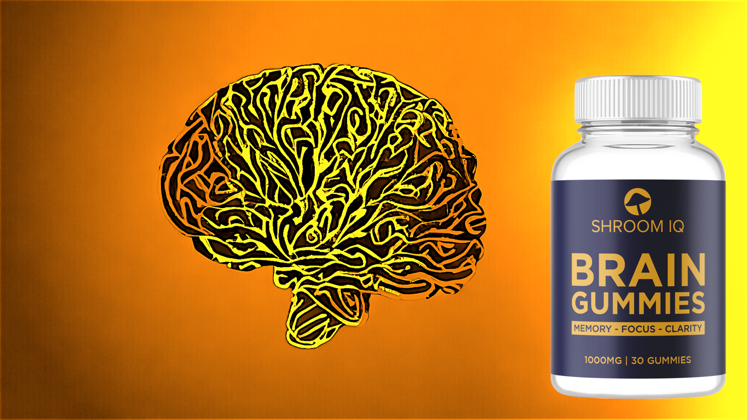 All Products – SHROOM IQ